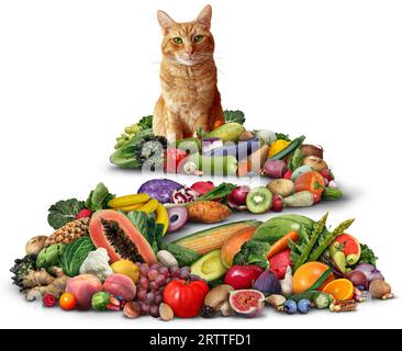 Cat Vegan Diet and health benefits of cats eating fruits and vegetables ...