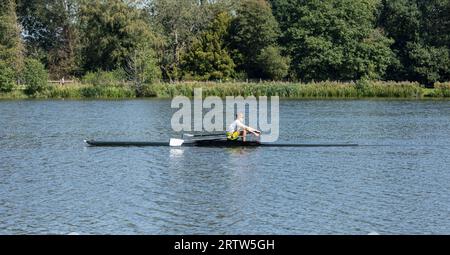 A Young single scull rowing competitor paddles on the tranquil lake ...