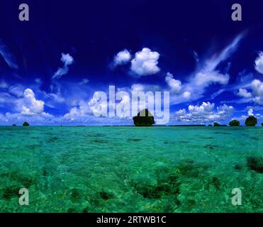 Untouched islands in the Palawan archipelago Stock Photo - Alamy