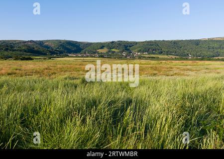 Porlock Marsh with the village of Porlock beyond in Exmoor National ...