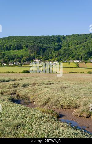 Porlock Marsh with the hamlet of West Porlock beyond in the Exmoor ...