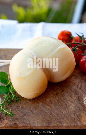 Italian semi hard handmade white and smoked on farm scamorza cheese ...