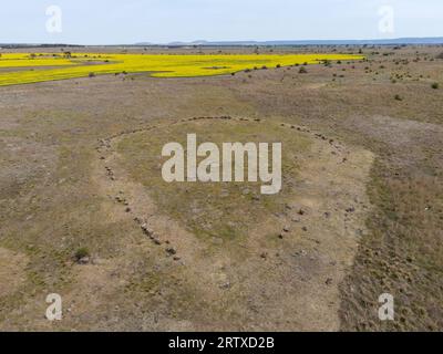 Wurdi Youang Aboriginal stone arrangement, Australia. Aligned ...