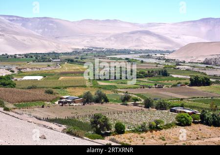 Lluta valley, river and farmlands. Arica, Norte Grande de Chile, Region ...