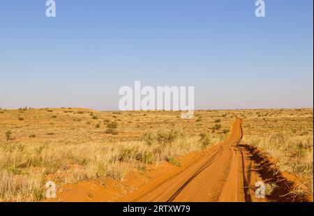 Open dirt road in the Kgalagadi Transfrontier Park, Kalahari, South ...