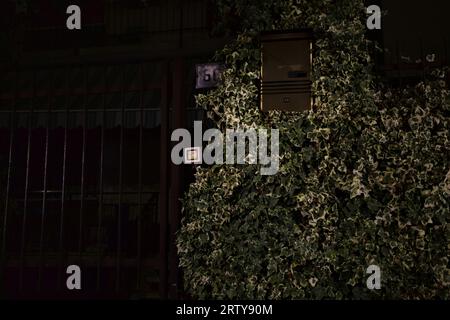 Ancient green mail box a close up Stock Photo - Alamy