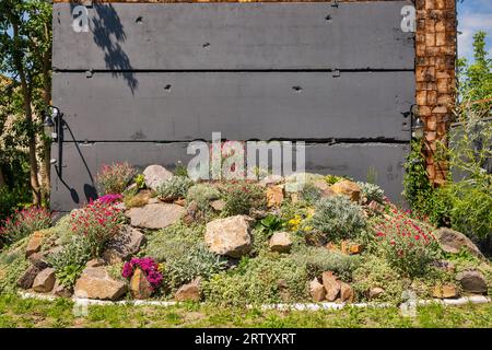 decorative alpine slide, landscape design - decorative plants in the ...