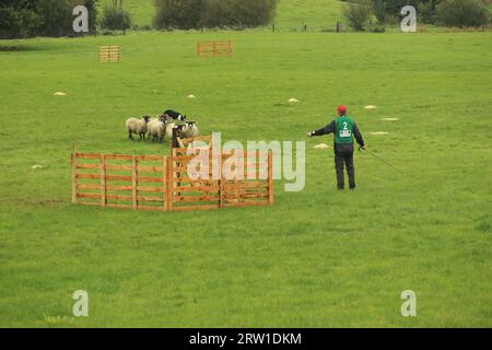 Joren De Bruycker and dog Jen compete in Young Handlers Competition ...