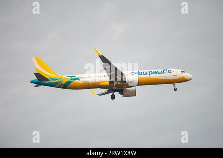 Cebu Pacific Airbus A321 aircraft landing. Plane of Cebu Air Pacific ...