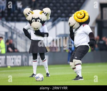 Derby County mascot Ewie Stock Photo - Alamy