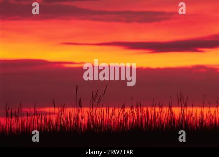 Grass sunrise, Tallgrass Prairie National Preserve, Flint Hills Scenic ...