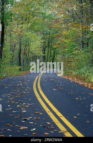 Red River Gorge Scenic Byway - Border of the Clifty Wilderness. A small ...
