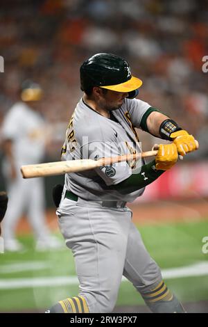 Oakland Athletics' Shea Langeliers (23) connects to for a two-run home ...