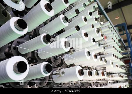 Bobbin in the packaging products processing line in a factory, North ...