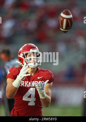September 16, 2023: Arkansas receiver Isaac TeSlaa #4 settles under a ...