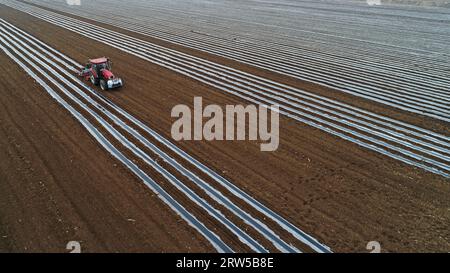 A farmer drives a planter to plant corn on a farm, aerial photo, North ...