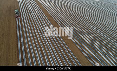 A farmer drives a planter to plant corn on a farm, aerial photo, North ...
