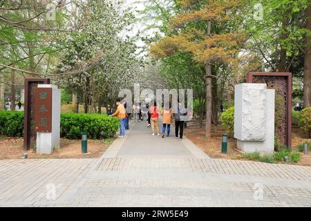 BEIJING, CHINA - APRIL 4, 2021 - Tourists enjoy spring scenery at the ...