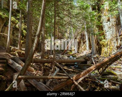 A scenic woodland view of a large fallen tree leaning over a calm river ...