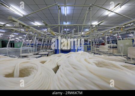 The cotton yarn on the production line is in a spinning factory Stock ...