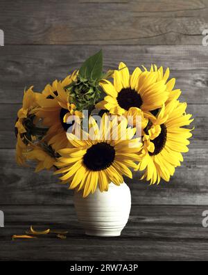 Sunflowers on wooden background. Autumn decor Stock Photo - Alamy
