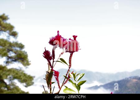Nature never disappoints Stock Photo - Alamy