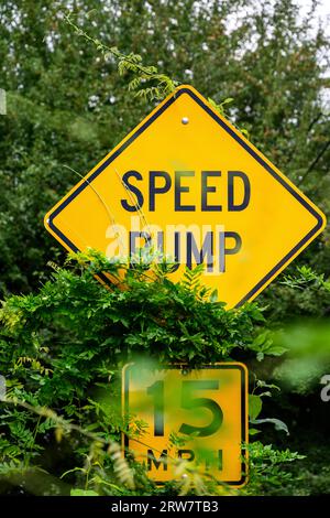 Traffic signs overgrown with plant vines, speed bump and 15 MPH ...