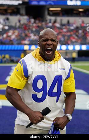 Terry Crews Football Career