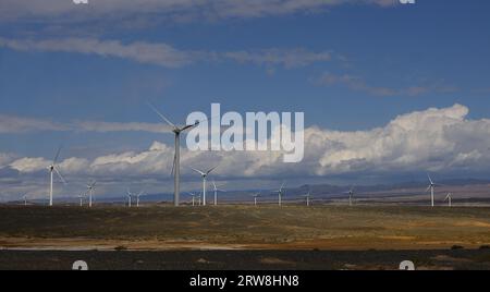 ALASHANKOU, CHINA - SEPTEMBER 16, 2023 - Wind power continues to be ...