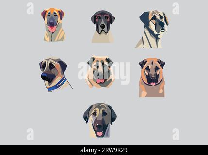 Minimal stylish animal design illustration Stock Vector Image & Art - Alamy