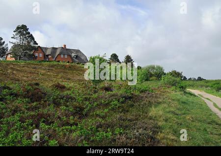 Thatched Roof House on the Wadden Sea Stock Photo - Alamy