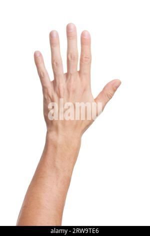 Male hand gesture. Opposite side of palm isolated on white Stock Photo ...