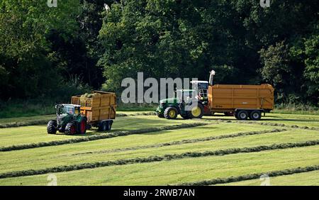 Tractor and trailer moves in a field with working combine harvester ...
