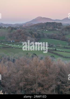 Burrow Hill Iron Age hill fort seen from Hopesay Common, near Craven ...