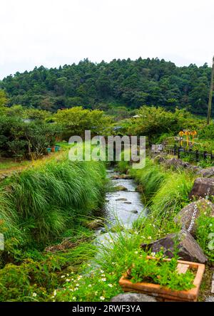 Zhu Zi Hu aka Bamboo lake, Beitou, Taipei, Taiwan Stock Photo - Alamy