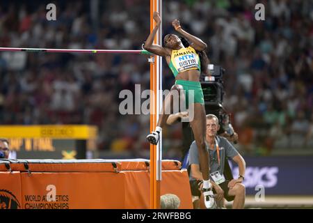 Lamara Distin participating in the High Jump at the World Athletics ...