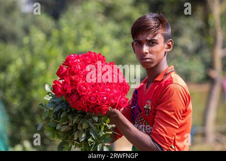 Golap Gram, a village with huge commercial rose gardens on both sides ...