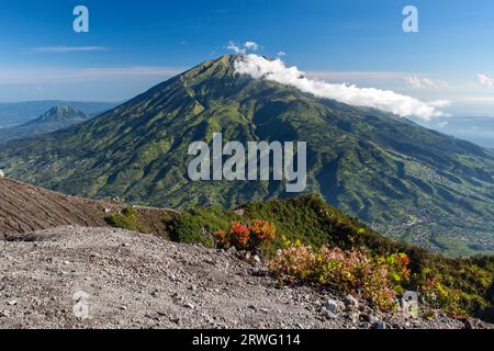 View of green Merbabu volcano from Merapi mountain. Java island ...