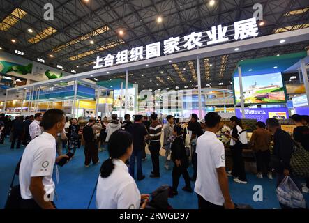 Yangling, China's Shaanxi Province. 19th Sep, 2023. People visit the ...