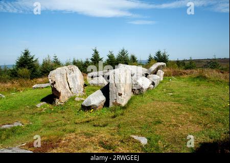 Tullygobban Tomb in Cavan Burren Park, Neolithic Period, Ireland Stock ...