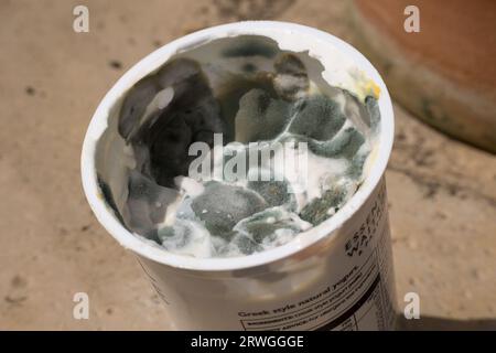 Fungal growth on mouldy Yoghurt UK Stock Photo - Alamy