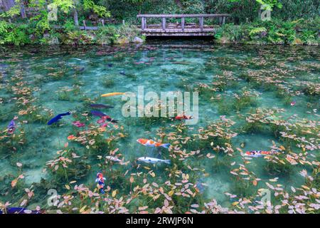 Monet's Pond Pond with no name Stock Photo - Alamy