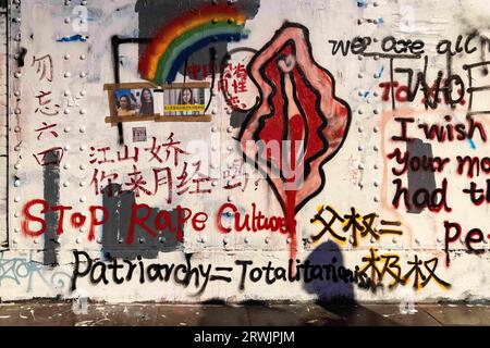 "Core Socialist Values, 2023" as Chinese political graffiti appears in ...