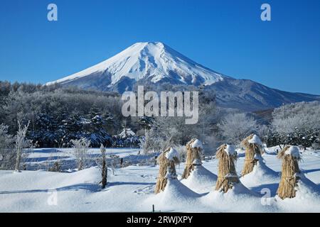 Foggy ice and Mt. Fuji Stock Photo - Alamy