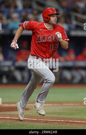 Los Angeles Angels' Nolan Schanuel (18) celebrates with Oswald Peraza ...