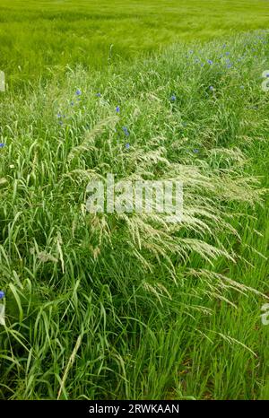 Landscape near Hof (Upper Franconia Stock Photo - Alamy