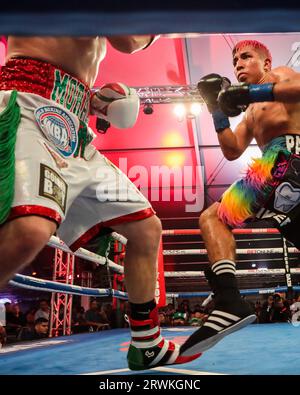 Commerce, CA, USA. 19th Sep, 2023. DAZN and Golden Boy Promotions ...