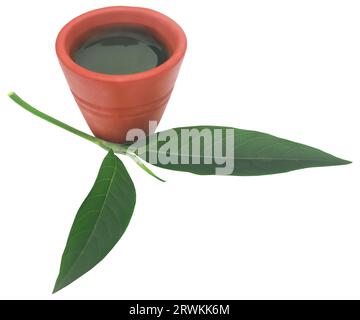 Ayurvedic Vasica leaves with extract in a clay pottery Stock Photo - Alamy