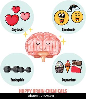 Illustration of happy brain chemicals in human anatomy Stock Vector ...