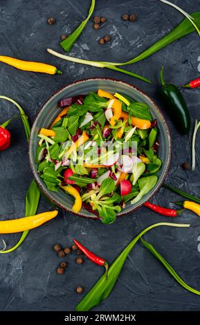 Vegetable vegan salad of ramson, radish, green onions and boiled eggs ...